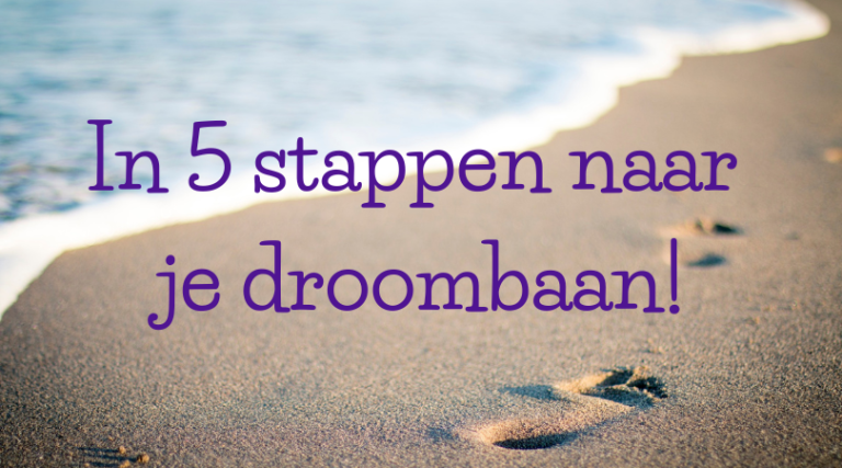 Loopbaanprogramma's - De Werkcoach